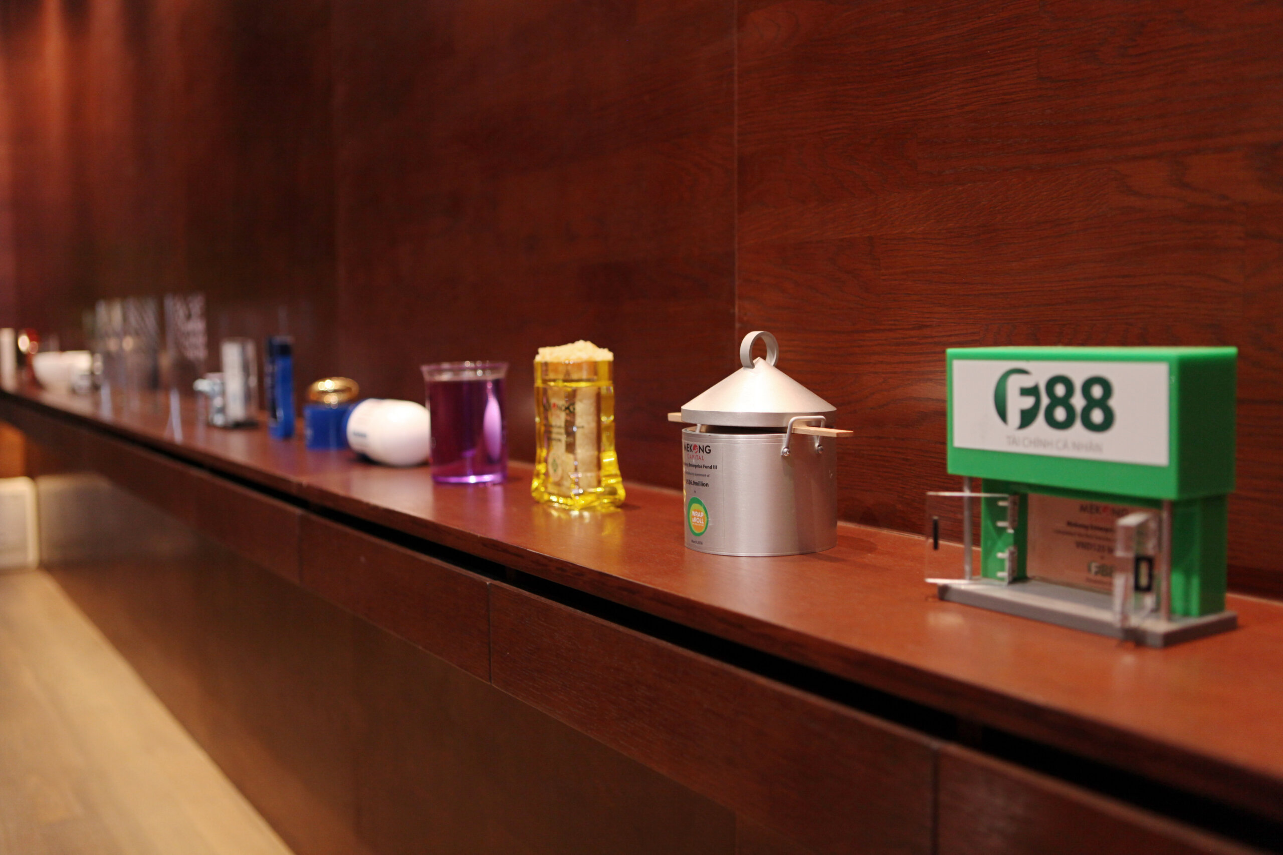 Mekong Capital's Private Equity Investments - Vietnam's fast-growing ...