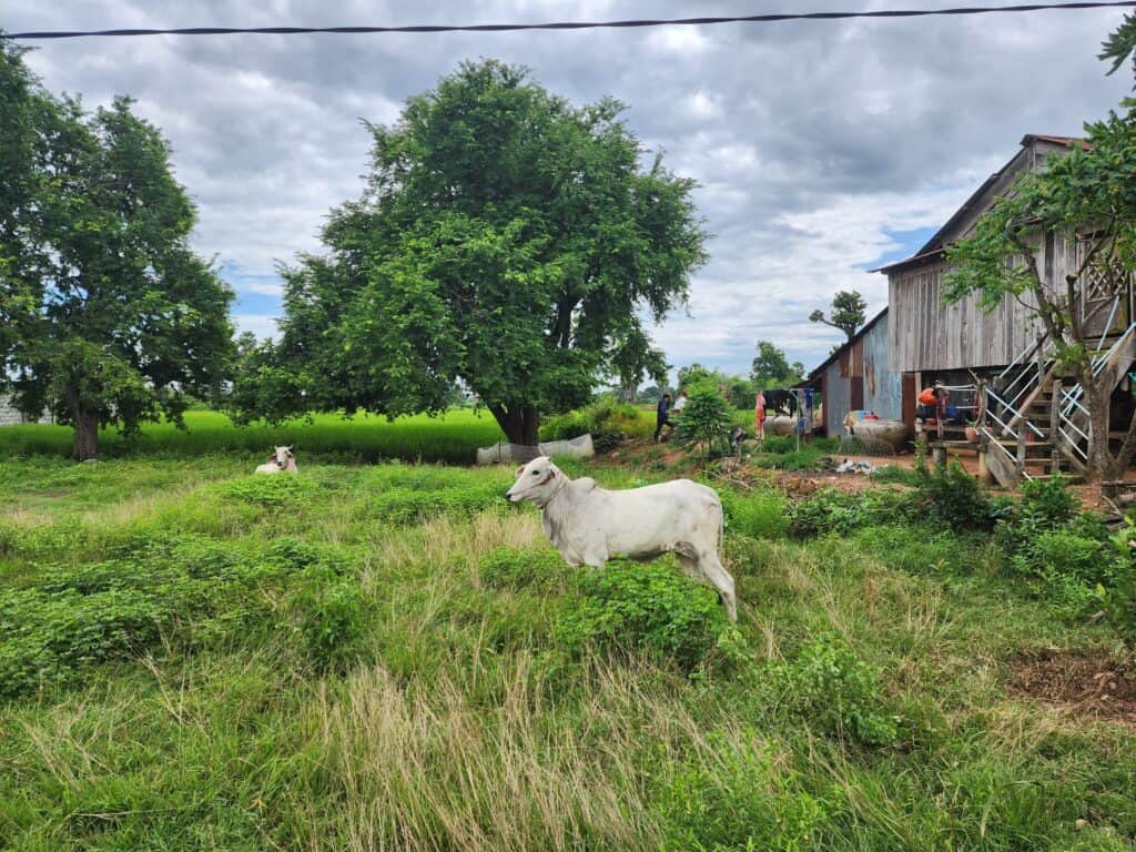 When it comes to nature, we all share the same goals by - Mekong ...