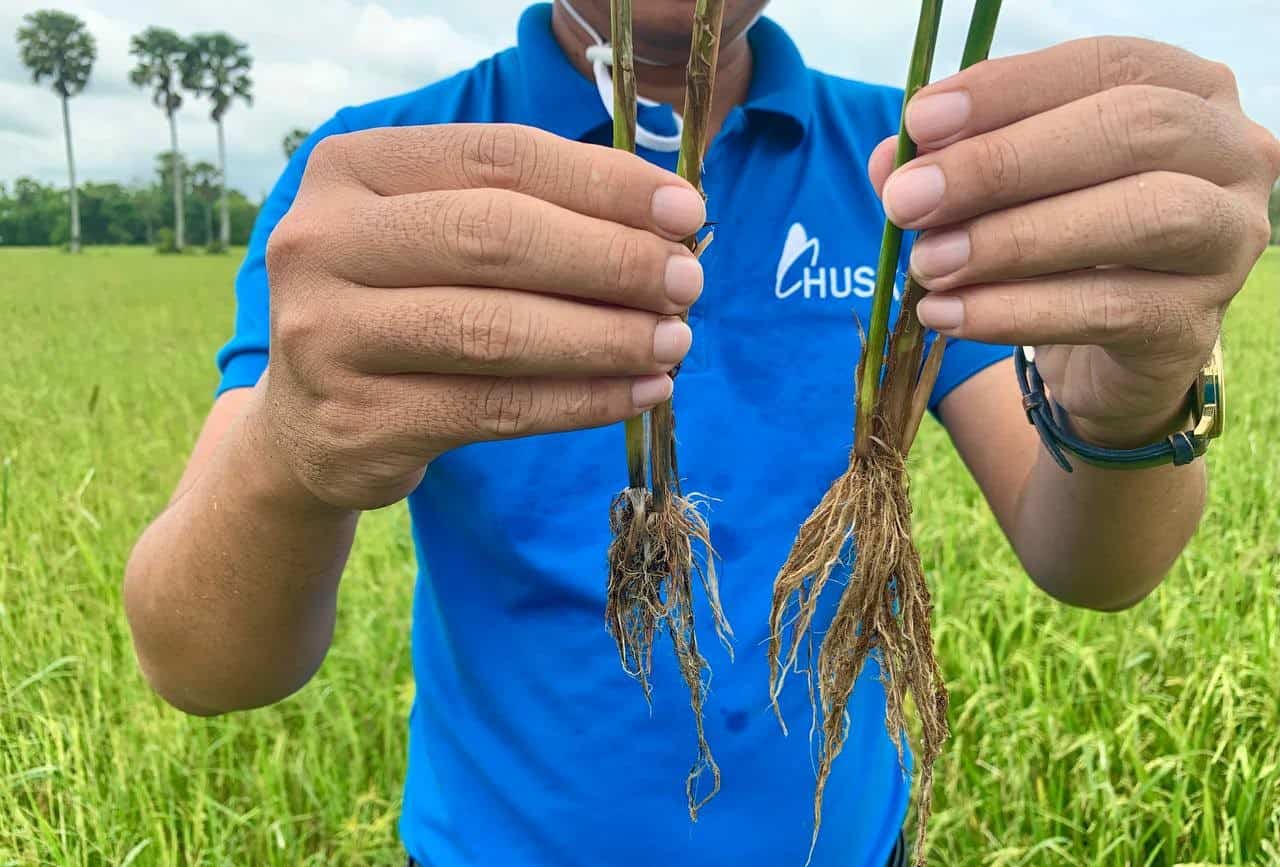 HUSK's Revolution in Farming: The Quest to Empower Farmers and ...